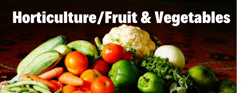 Horticulture / Fruit and Vegetable Production – Extension Jackson County